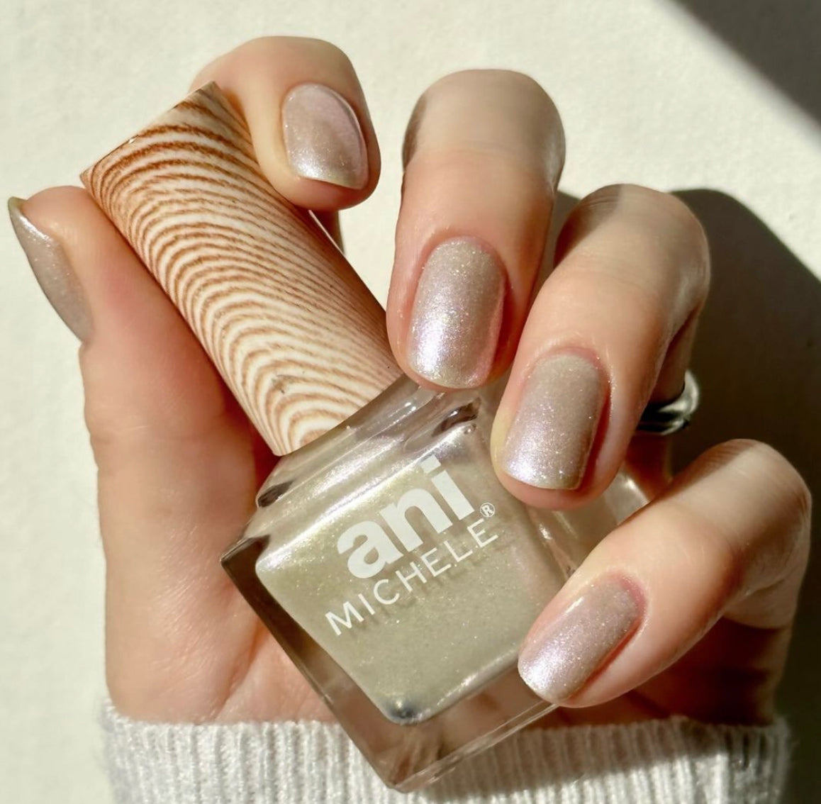 Nail Polish - Rain Glow – Ani Michele Products